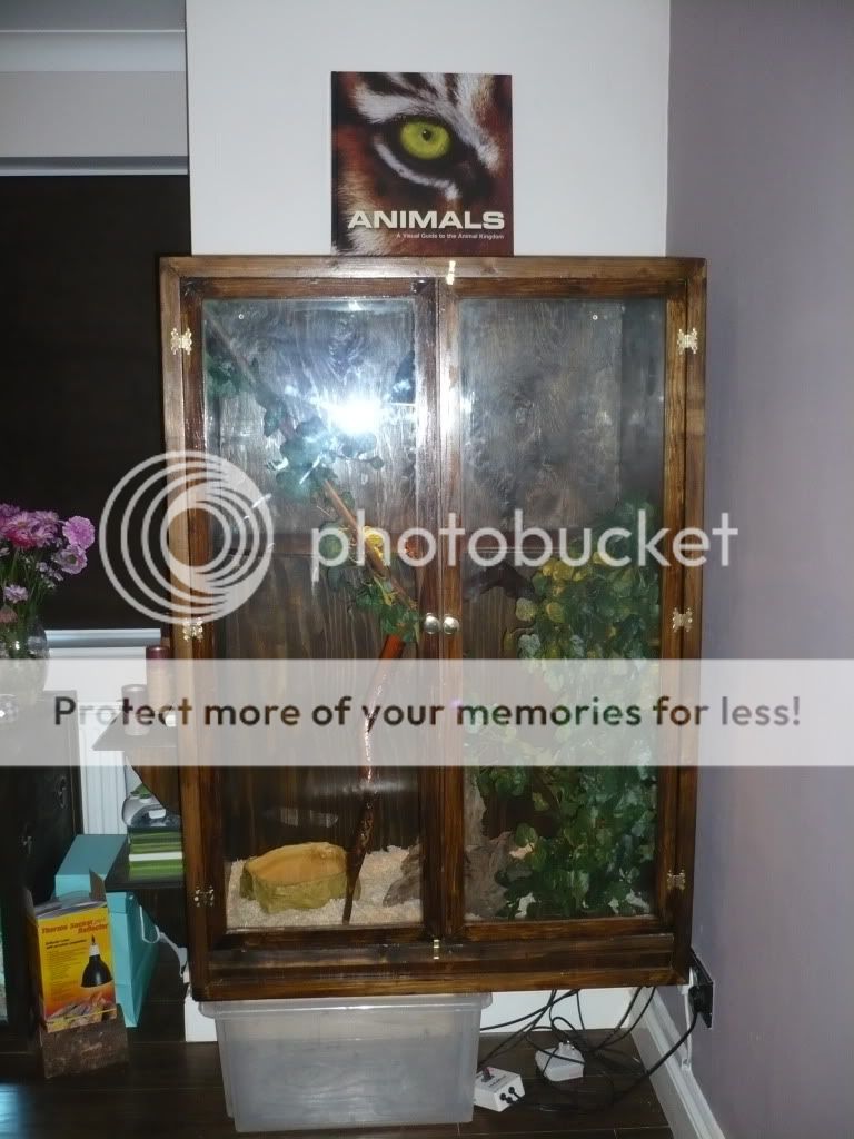 custom built vivariums | Reptile Forums