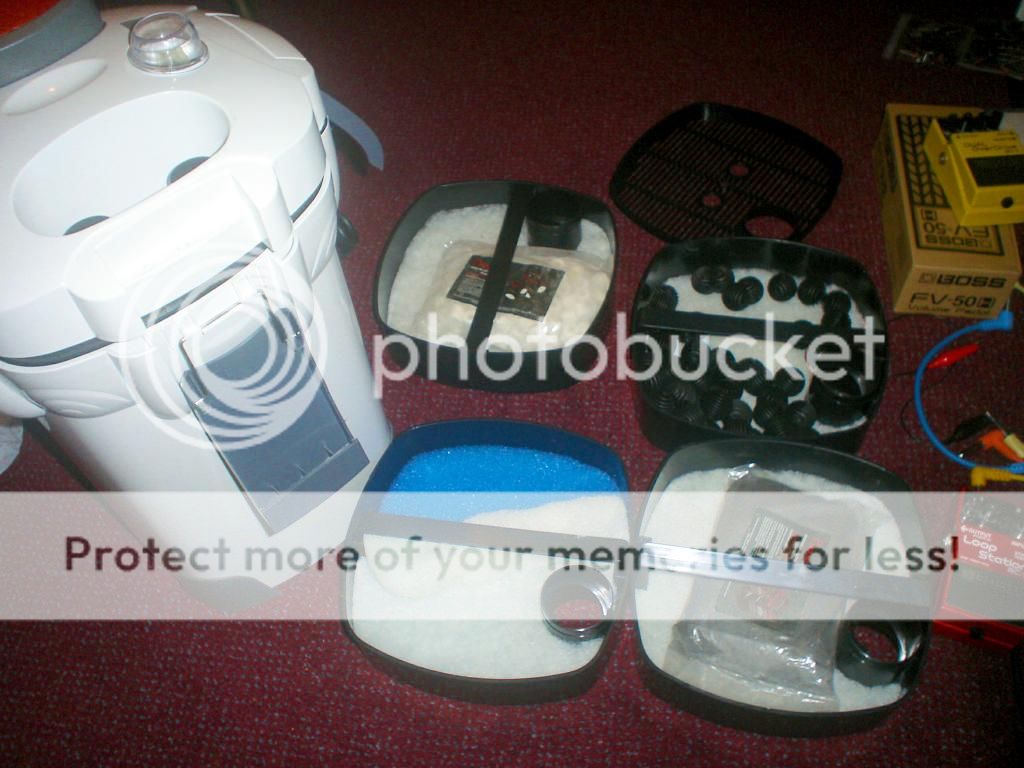 My experience with Aquatop CF-500uv Canister Filter | Cichlid Fish Forum